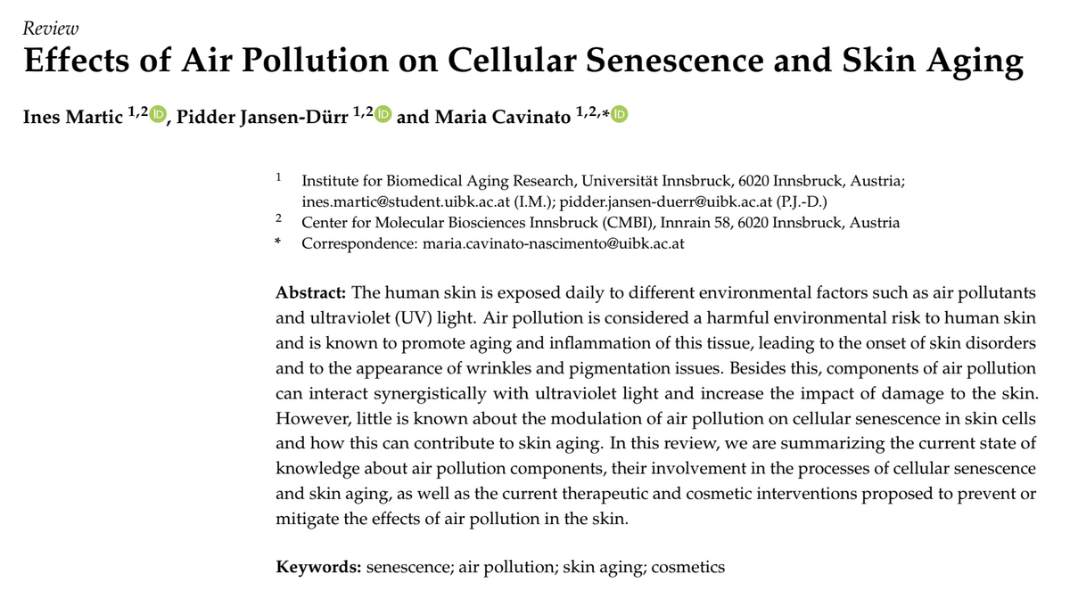 Effects of Air Pollution on Cellular Senescence and Skin Aging – MDRN